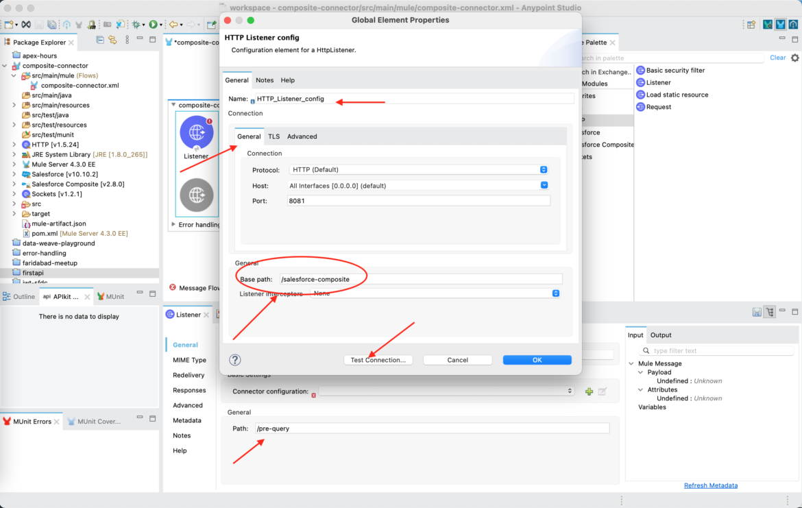 How to Configure Salesforce Composite Connector using Mule 4? – PantherSchools