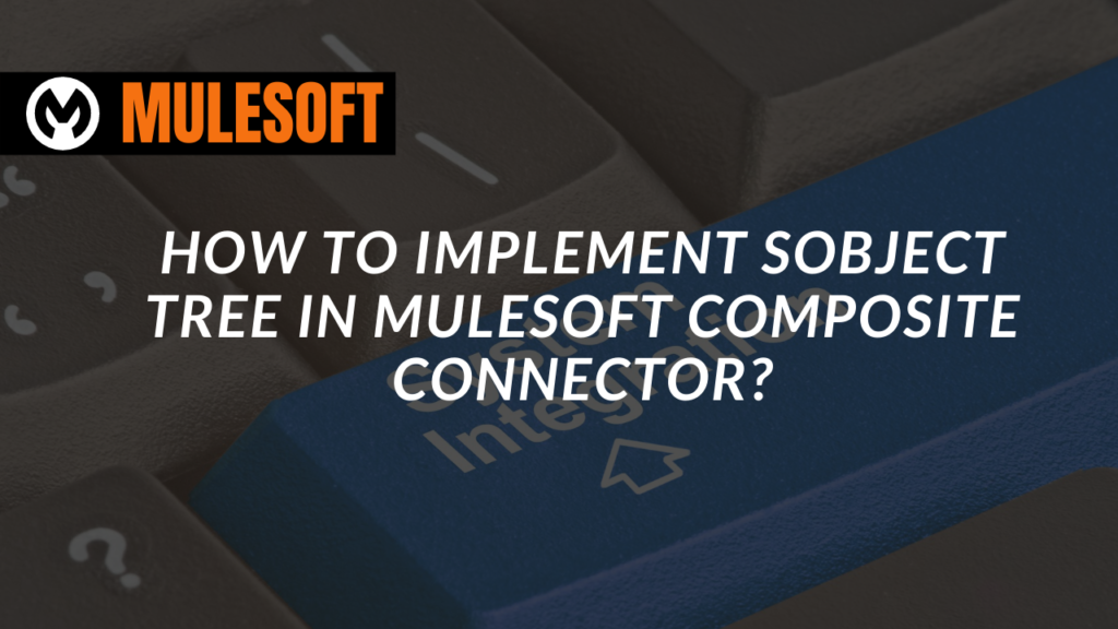 Mulesoft – PantherSchools