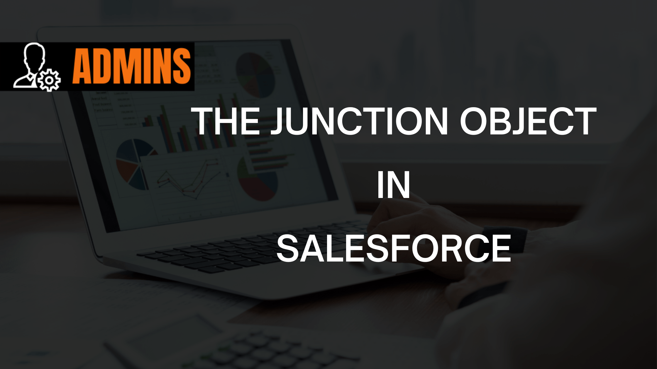 Junction Object in Salesforce » PantherSchools