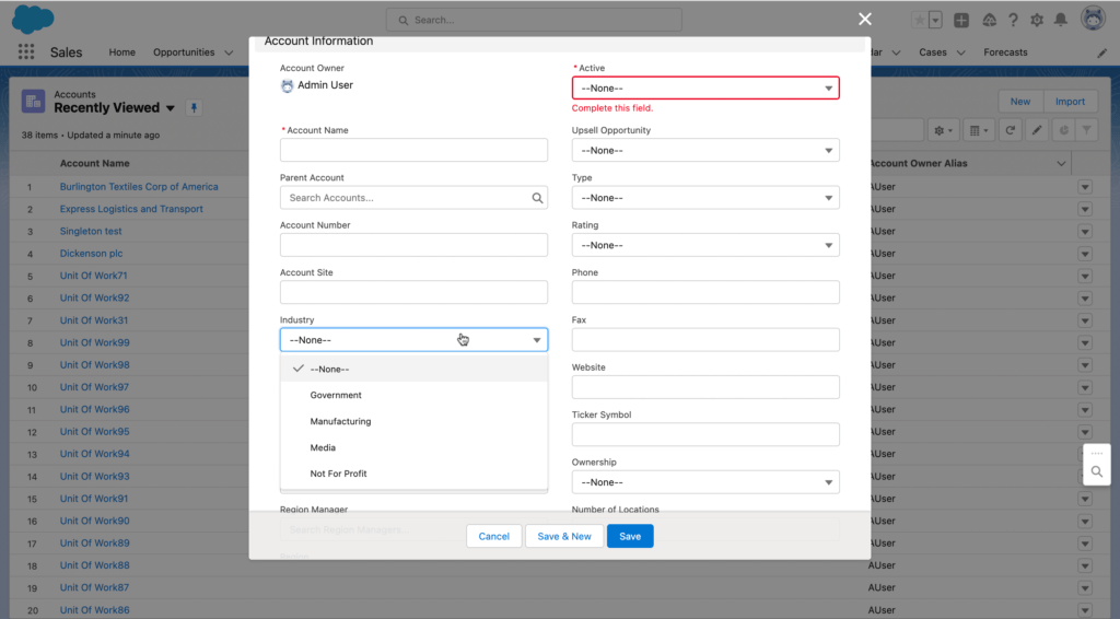 What are Record Types in Salesforce? » Panther Schools