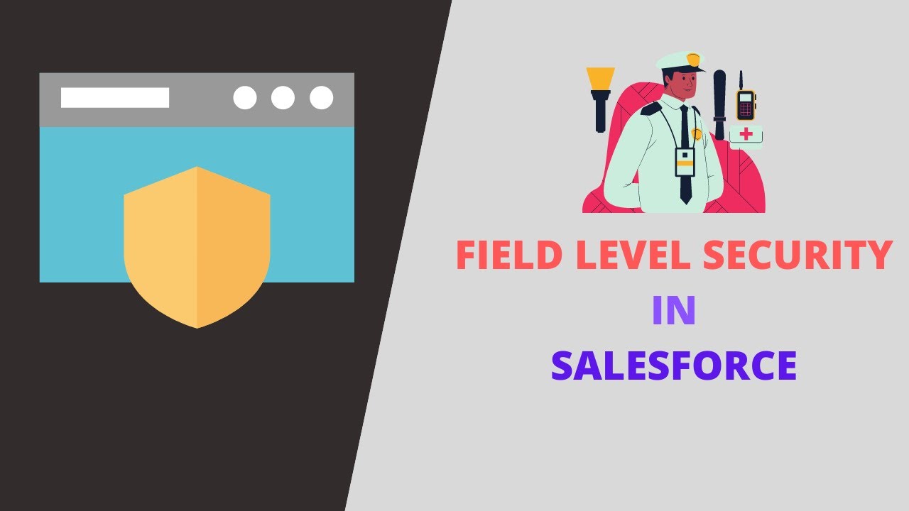What is Field Level Security in Salesforce? » PantherSchools